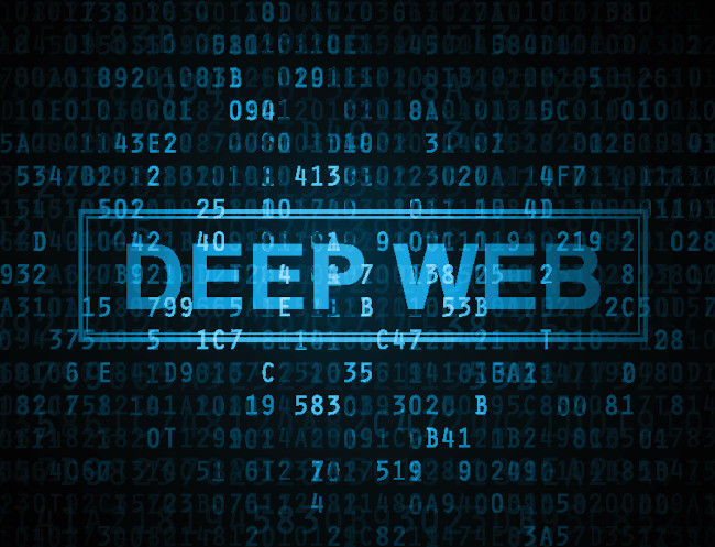 Deep Web Reporting & Purging | ByteGuard [Video]